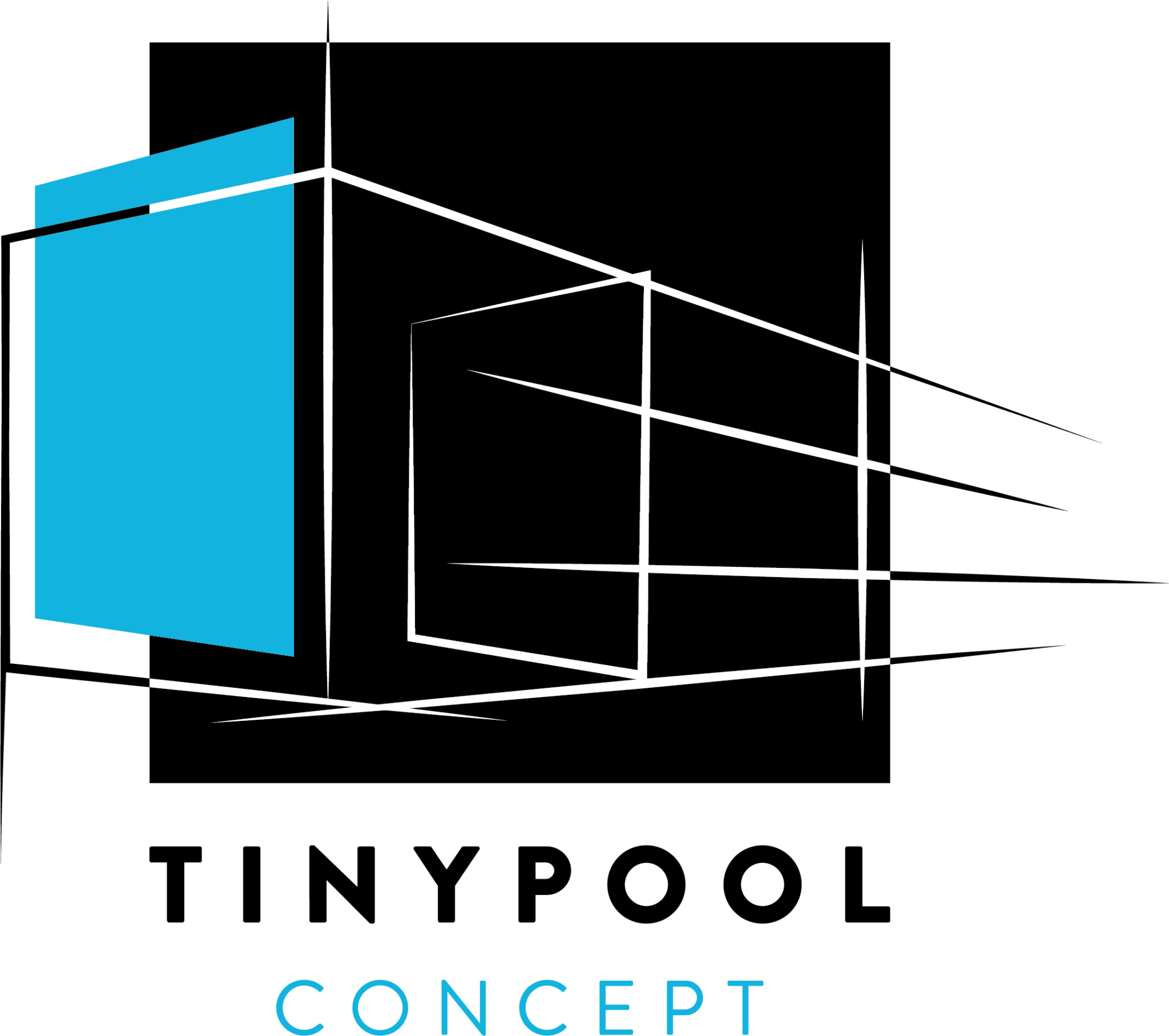 N°1 de la Piscine Container en Suisse - TinyPool.ch